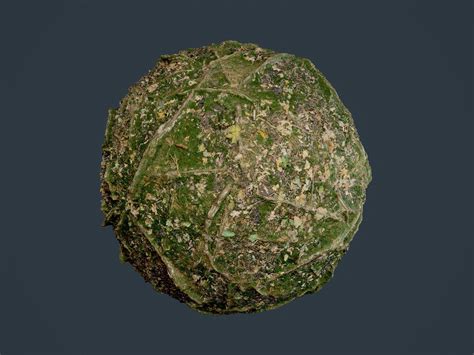 Forest Ground Terrain Seamless Pbr Texture 01 3d Model