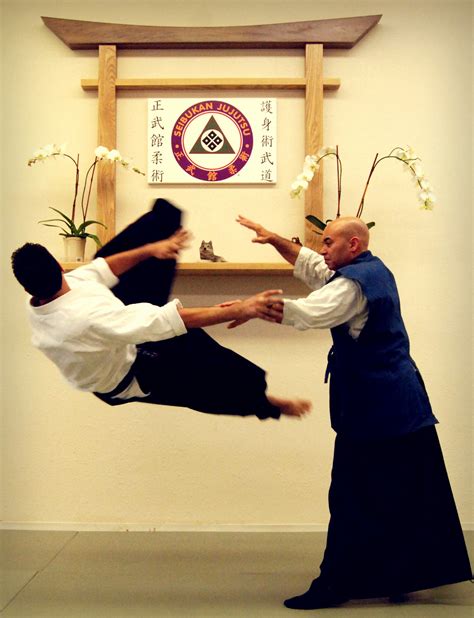 Learn Martial Arts At Home