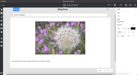 how to download a files from a posts nicepage forum