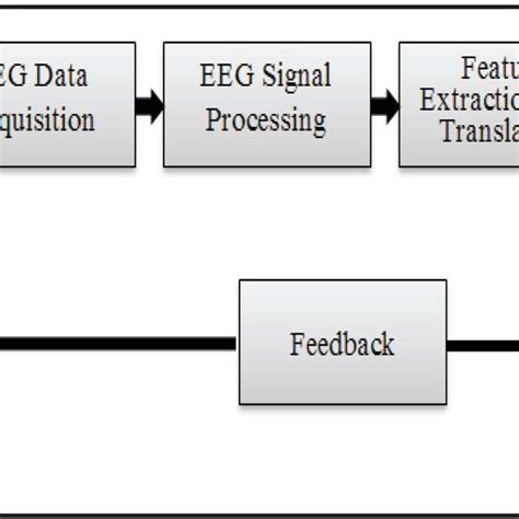 Schematic Diagram Of Eeg Amplifier Download Scientific Diagram