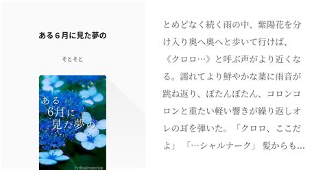 H×h【腐】 シャルナーク ある6月に見た夢の そとそとの小説 Pixiv