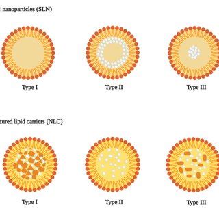 Different Types Of SLNs And NLCs Type I SLN Does Not Present Any