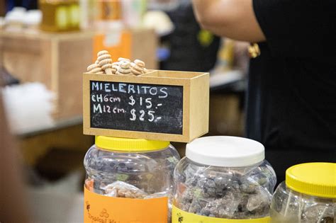 3059674073976344591571691701957102663870532n Secretaría De Medio