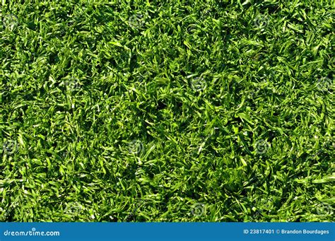 Fake Grass Turf Stock Image Image Of Floor Baseball 23817401