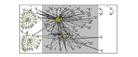 vcell modeling and analysis software virtual cell modeling and analysis