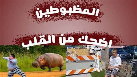 أفضل فيديو مضحك جدا الضحك حتي الموت 2020 Youtube