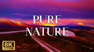 A Moment Away From Noise Pure Nature In 4k