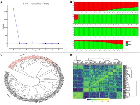 Genetic Structure And Clustering Analysis Of 188 Wrinkled Vining Pea