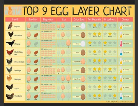 Pin By Sandy Worley On Here A Cluck There A Cluck Raising Chickens