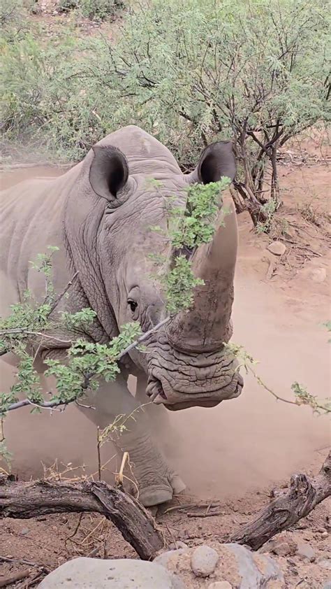 Top 10 Best Zero Input Delay Skin Fcshorts Fcshorts