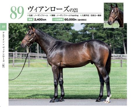 初心者大集合！「ひよっこ」の一口馬主と仲間たち～