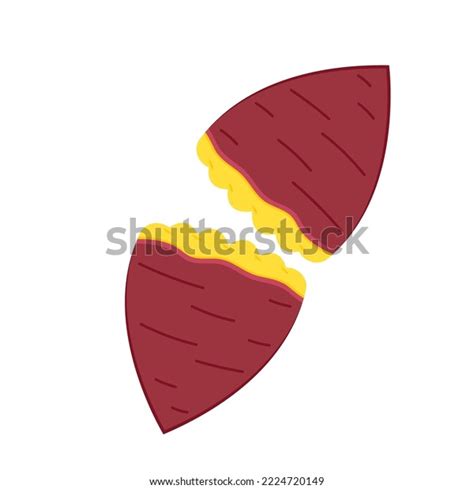 Roasted Sweet Potato Roasted Sweet Potato Stock Vector Royalty Free