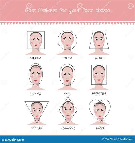 Different Face Shapes And Makeup Vector Stock Vector Image
