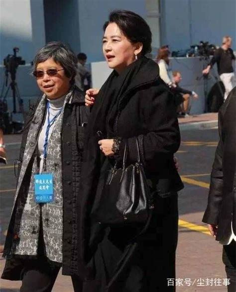 孫儷靠山胡慧中出事，其丈夫在紐約被抓獲。 每日頭條