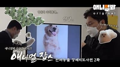 kbs인간극장 수상한삼형제 시골에서 시한부 동생과 함께 병아리를 키우는 삼 형제 어느 날 새로운 가족이 생겼다 반려동물세상