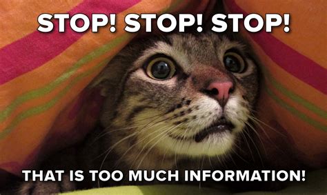 Too Much Information Meme