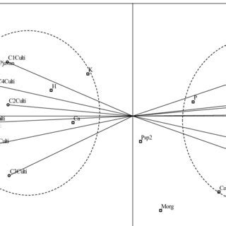 Two Dimensional Projection Of The First Two Factors Of The Principal
