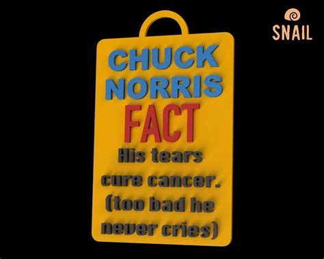 Chuck Norris Fact Mini Sign Chuck Norris Joke By Snail Download