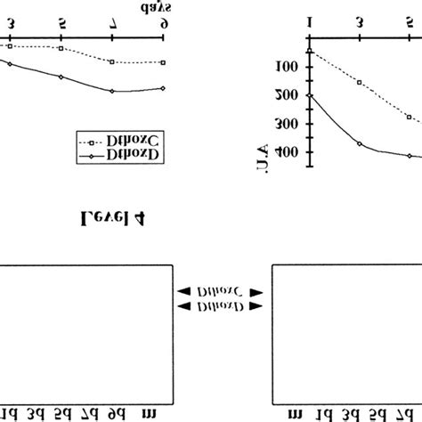 Adult Planarian Hox Gene Expression At Different Stages And Levels Of