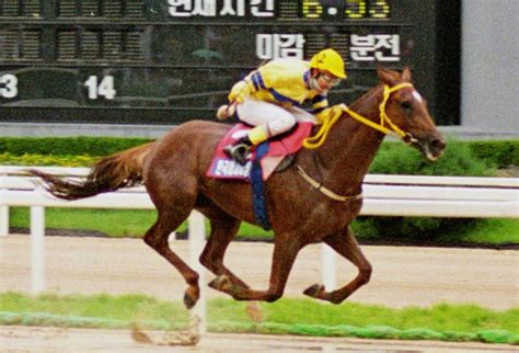 포경선 가속도 돌콩 등 한국경마 100년 전설의 경주마 한 자리에 모인다