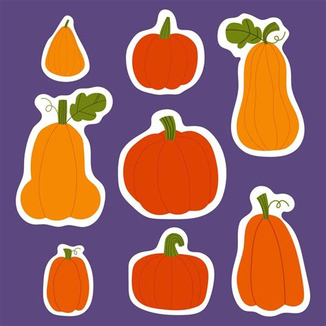 mano dibujado vector calabazas pegatinas recopilación aislado dibujos