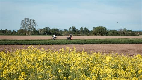 Radtour Durch Das Ried Visit Alsace