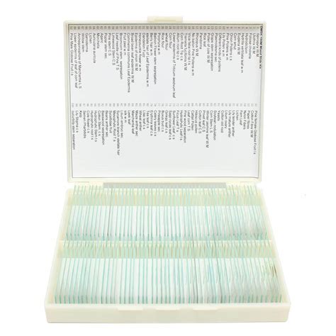 Generic 100pcs Glass Prepared Basic Plant Microscope Slides Sample