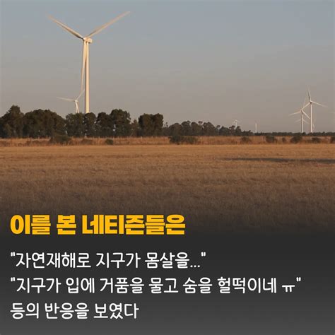 르데스크 Le Visual 거품 바다 출렁이는 땅기현상 불러온 ‘그놈 정체는