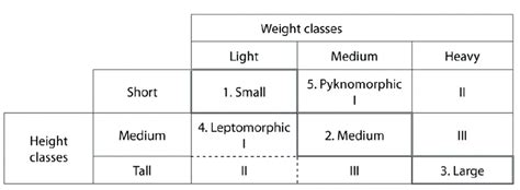 Body Build Classes 3 Download Scientific Diagram