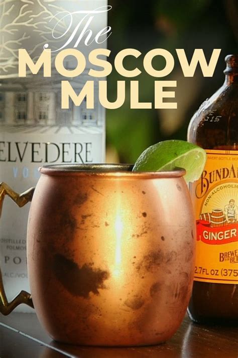 Pin On Muddle Muddle 60 Second Cocktail Tutorials