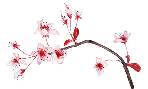 Hanami Unobtrusive Javascript My Code Works I Know Why