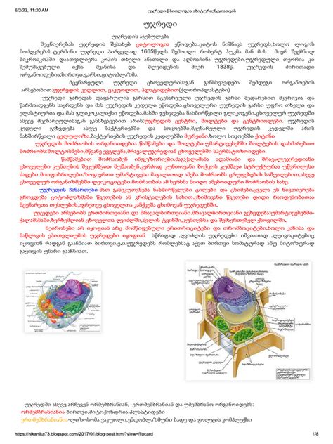 უჯრედი Pdf