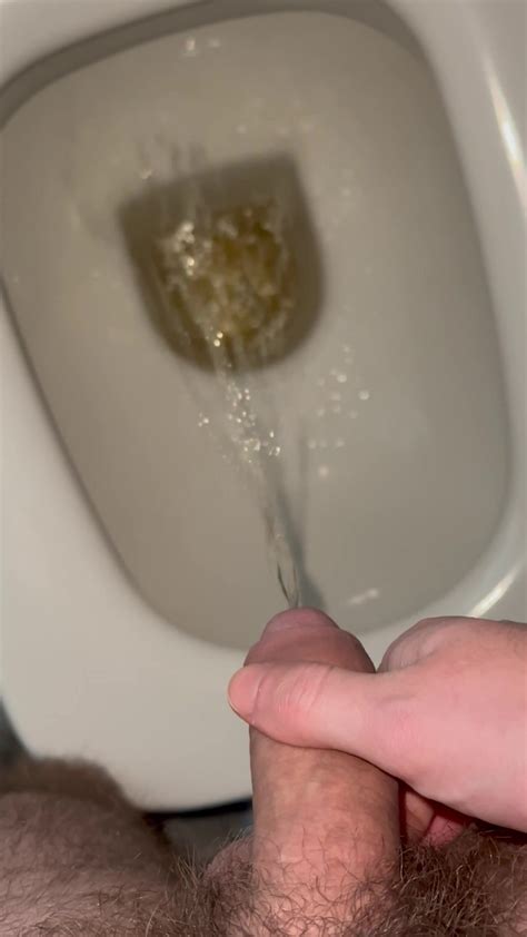 Had To Piss So Bad 日本語で