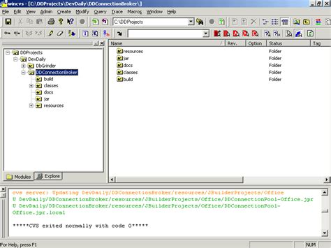 Wincvs Checking Out A Project