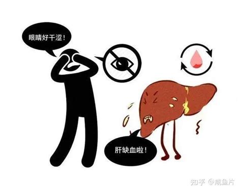中医养生入门肝在人体中有哪些重要的功能 知乎