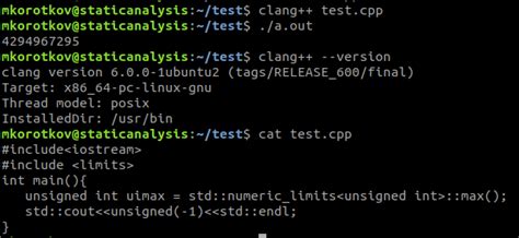 Bug Incorrect Output Of A Clang Compiler · Issue 3499 · Compiler