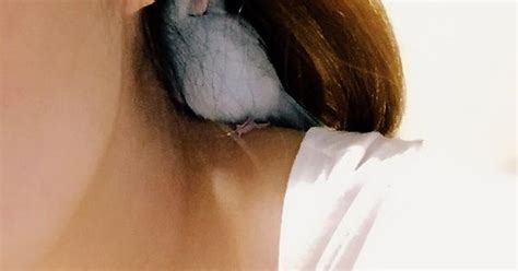 Beechu Album On Imgur