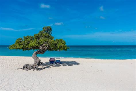 24 Best Beaches In Aruba Celebrity Cruises