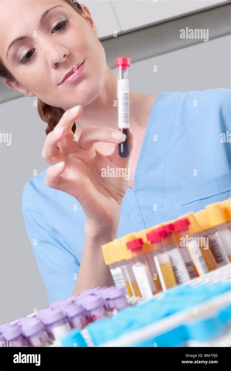 Female Lab Technician Analyzing A Blood Sample In A Test Tube Stock Photo Alamy