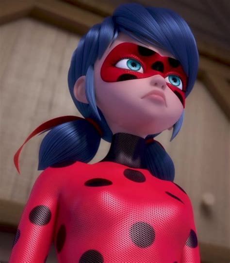Ladybug Miraculous Ladybug S5 Elation Catnoir And Ladybug