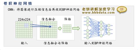 一篇入门之 卷积神经网络cnn是什么 为什么需要它 老饼讲解