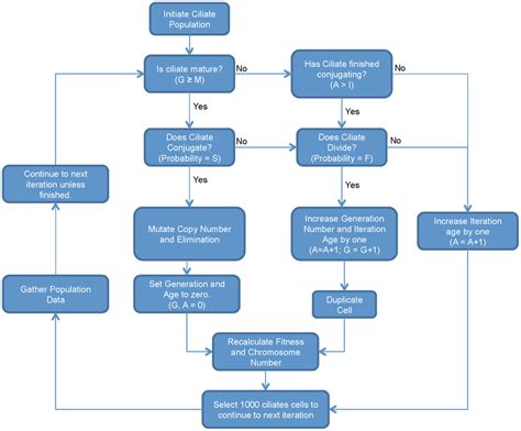 Flowchart Of Simulation Cycles Continue For 100000 Iterations