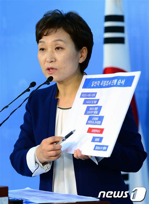 김현미 여당 세월호 국정조사 의지 없다 뉴스1