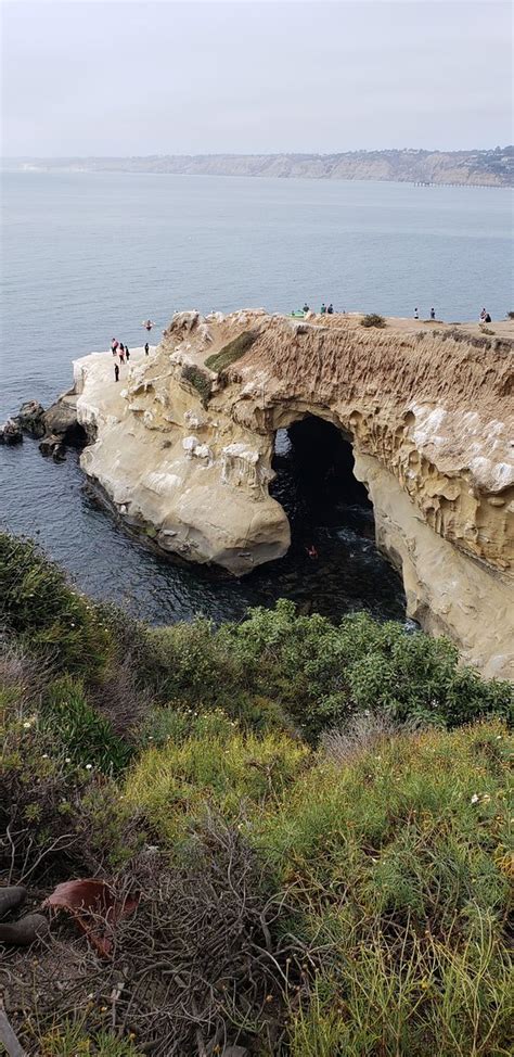 Scuba San Diego Inc La Jolla 2019 All You Need To Know Before You Go With Photos Tripadvisor