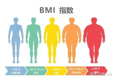 马甲线和腹肌的区别 腹肌和马甲线可以一起练吗 知乎