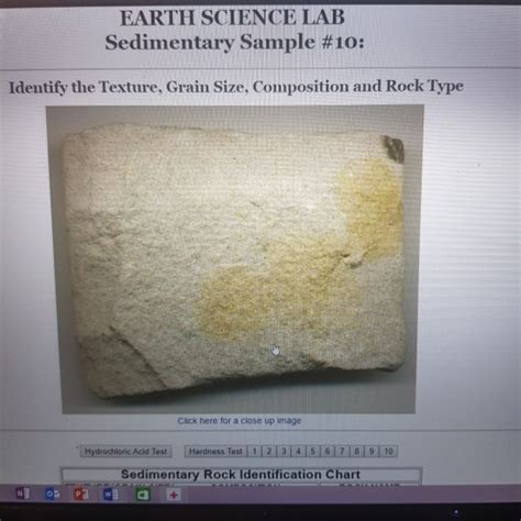 Solved EARTH SCIENCE LAB Sedimentary Sample 7 Identify The Chegg Com