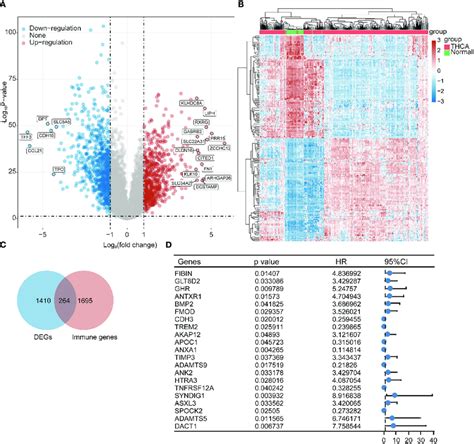 Screening Of Immune Related Prognostic Genes In Degs A Volcano Plot