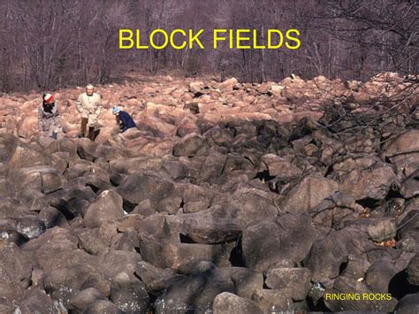 Ppt Permafrost Bob Carson June 2007 Powerpoint Presentation Free