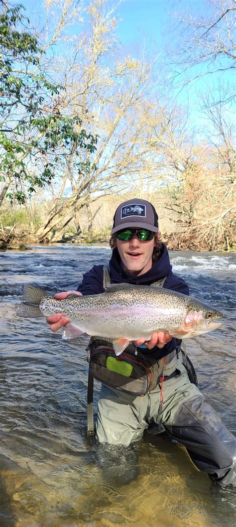 Fly Fishing On The Soque River In Georgia