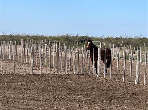 287 Lands For Sale In Argentina Properstar